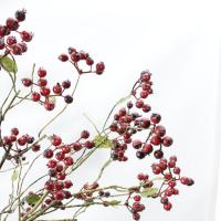 China Christmas Berry Stem Artificial Plants Red and Blue Berries for All Festivals Occasion for sale