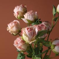 China Personalized Artificial Silk Rose Flower Decoration for All Festivals and Celebrations for sale