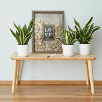 China Wood and Glass Romantic Wedding Decoration Custom Drop Top Frame with Large Photo Insert for sale