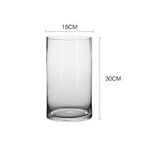 China Minimalist Design Tabletop Vase for Clear Glass Cylinder Flower Vase in Nordic Style for sale