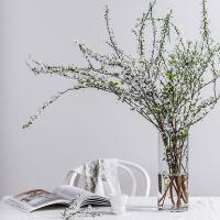 China Thickened Tall Cylinder Clear Glass Vase in Europe Style with Height Range of 10-60cm for sale