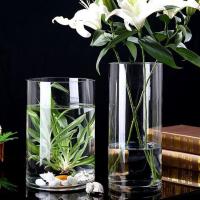 China Minimalist 60cm High Tall Glass Vases The Perfect Combination of Style and Function for sale