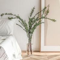China Custom Houseware Big Clear Glass Vase for All-Season Decoration 10-20cm Diameter for sale