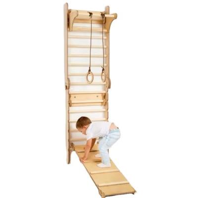 China Montessori Climber Toddler Playground with Customized Logo and Kids Learning Toy for sale