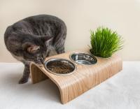 China Bowl Feeder Type Cups Pails Triple Bowl Pet Feeding Stand with Raised Modern Feeder for sale