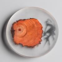 China Free Sample Charge Heat Insulation Sublimation Coasters with Wooden and Resin Material for sale