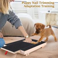 China Varnished Wooden Dog Scratch Pad with Removable Cover and Treat Box for Nail Trimming for sale