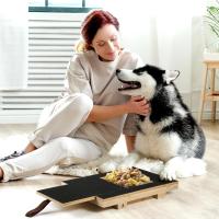 China Household Wooden Dog Nail Care Scratch Pad with Snack Box Free Sample Charge for sale