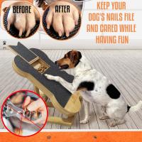 China Dog Nail Scratch Board with Treat Box Bone Shaped Dog Scratching Pad for Nails Paws OEM for sale