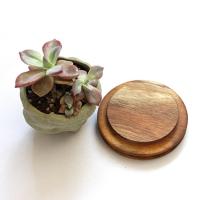 China Food Grade Acacia Wood Seal Lid for High Borosilicate Glass Storage Jar FSC Certified for sale