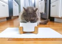 China Wood Stand Adjustable Solid Wood Pet Cat Dog Food Bowl Pet Feeders with NO Time Setting for sale