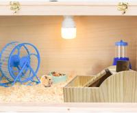 China Wooden Sand Bath Box with Climbing Ladder and House Design Chinchilla Bathtub Bo for sale
