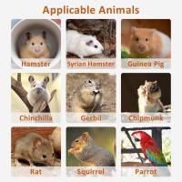 China Hamster Standing Platform Exercise Toy Cage Accessories with Push-up Closure Type for sale