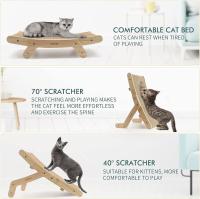 China Indoor Cats' Favorite 5-in-1 Cat Scratchers with Solid Wood Frame and Customized Logo for sale