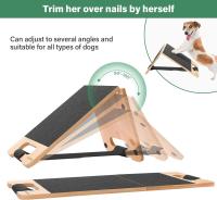 China Fear-Free Dog Nail Care Space-Saving Scratch Pad with Custom Logo and Adjustable Design for sale