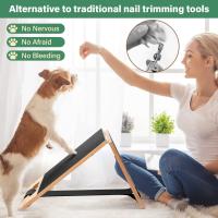 China Fear-Free Dog Nail Care Space-Saving Scratch Pad with Custom Logo and Adjustable Design for sale