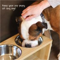 China Medium Dog Elevated Bowl Stand 7 Raised Bowls Pet Feeder with Four Stainless Steel Bowls for sale