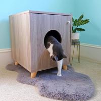 China Concealed Cat Litter Box Nightstand Furniture with Custom Button Closure Wood Table for sale