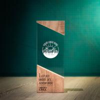 China Modern Plaque Wood Running Unique Design Personalised Wooden Acrylic RISE Trophy Award for sale