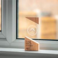 China Modern Plaque Wood Running Unique Design Personalised Wooden Acrylic RISE Trophy Award for sale