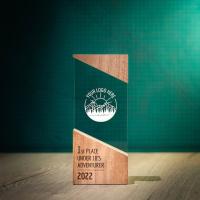 China Modern Plaque Wood Running Unique Design Personalised Wooden Acrylic RISE Trophy Award for sale