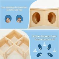 China Household Wooden Hamster House Multi-Chamber Hideout for Exploring Toys and More for sale