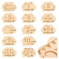 China Baby Monthly Milestone Cards 13 Pieces Newborn Gift Set for First Year Growth Props for sale