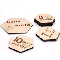 China Baby Monthly Milestone Cards 13 Pieces Newborn Gift Set for First Year Growth Props for sale