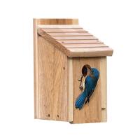 China Custom Simple Style DIY Wooden Bird House Wood Craft Decoration Burned for sale