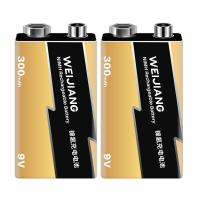 China 300mAh Ipower 9v Battery AA Nickel Metal Hydride Rechargeable Batteries For Home Appliances for sale