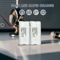 China OEM ODM NIMH Battery Pack AA 2.4v 730Mah NIMH Solar Battery for sale
