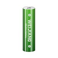 China Wholesale Customized 1.5V AA AAA Alkaline Primary Battery R06 R03 for sale
