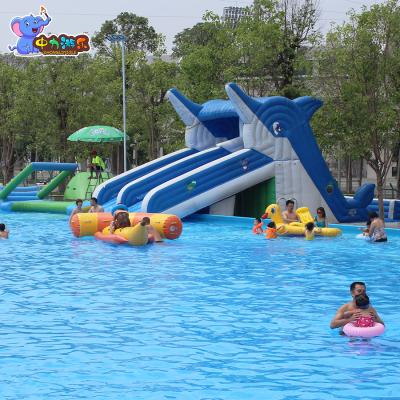 China Outdoor Water Park Inflatable Water Slide Dolphin Inflatable Slide for sale