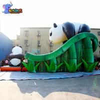 China Panda Theme Backyard Water Slide Inflatable Bounce Slide Double Lane for sale