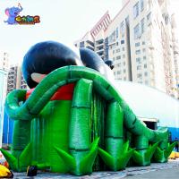 China Panda Theme Backyard Water Slide Inflatable Bounce Slide Double Lane for sale