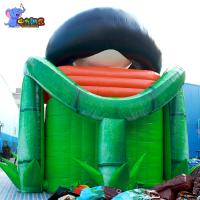 China Panda Theme Backyard Water Slide Inflatable Bounce Slide Double Lane for sale