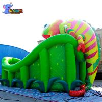 China Anti Wear Inflatable Water Slide Jumping Castle UV Resistant Custom for sale