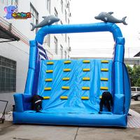 China Blow Up Dolphin Inground Pool Inflatable Slide Water Park 20 Ft ODM for sale
