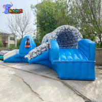 China Penguin Theme Inflatable Water Slide Inflatable Water Park Inflatable Slide for sale