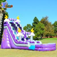 China Outdoor Water Park Inflatable Water Slide Inflatable Castle Slide for sale