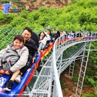 China Outdoor Recreational Equipment Double Track Roller Coaster Amusement Equipment for sale