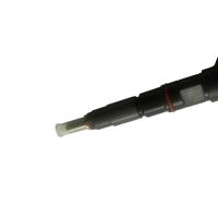China Cummins ISF3.8 ISF 3.8L Diesel Engine Fuel Injector Assy 5296723 for sale