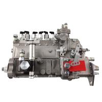 China Cummins 6D102 6BT Diesel Engine Fuel Injection Pump 4063845 for sale