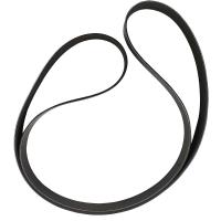 China Cummins Diesel Engine ISF2.8 ISF3.8 V Ribbed Belt 5312821 for sale