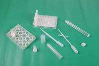 China Tailored Injection Mold Solution Serving Specialized Molding Industry for Other mold for sale