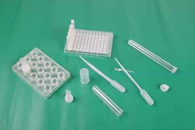 China Tailored Injection Mold Solution Serving Specialized Molding Industry for Other mold for sale