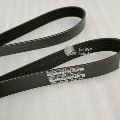 China High Quality M11 QSM Diesel Engine Spare Parts Belt  3103697 for sale