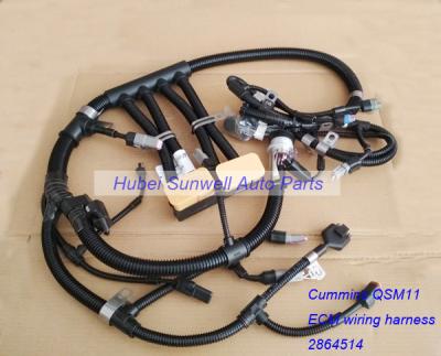 China Cummins QSM11 engine ECM wiring harness 2864504, 4022868, 3161935, 4004571 for sale