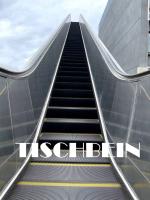China 30° 35° Inclination Stainless Steel Step Hotel Escalator With Rubber Handrail For Railway Station Airport Hospital for sale