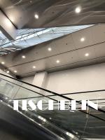 China 30° 35° Inclination Stainless Steel Step Hotel Escalator With Rubber Handrail For Railway Station Airport Hospital for sale